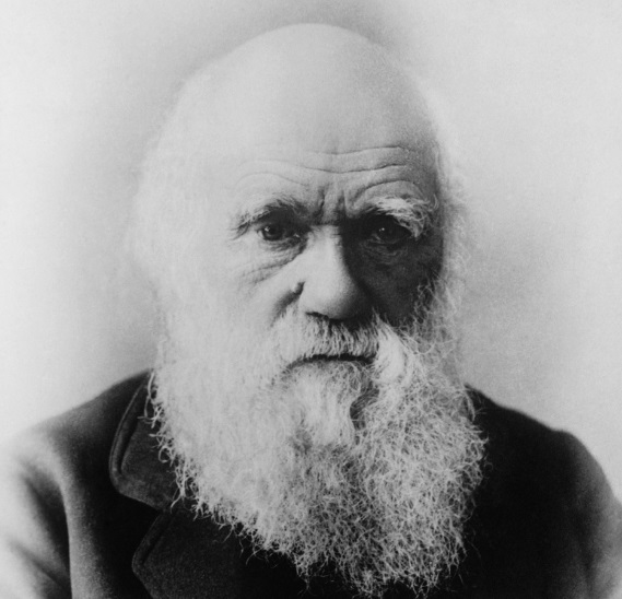 Charles Darwin - Victorian Children